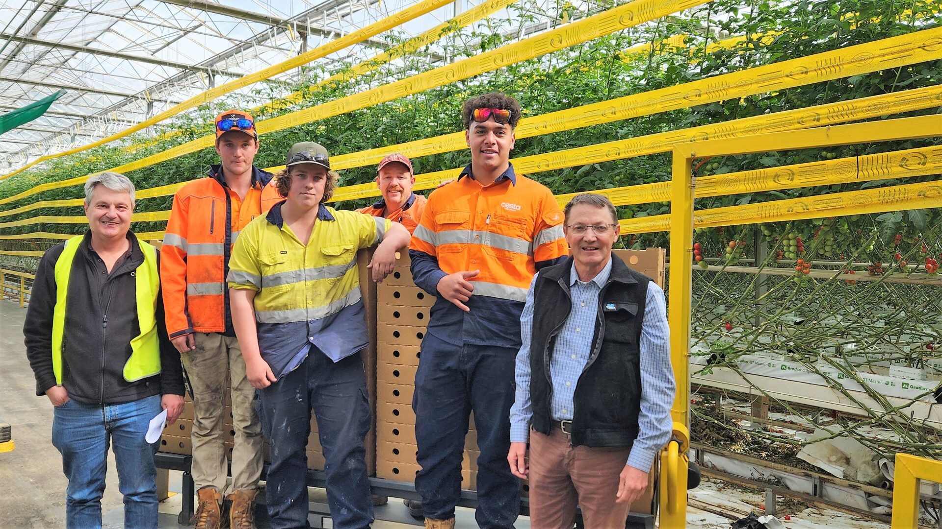 Growing careers at Costa Tomatoes - Costa Group