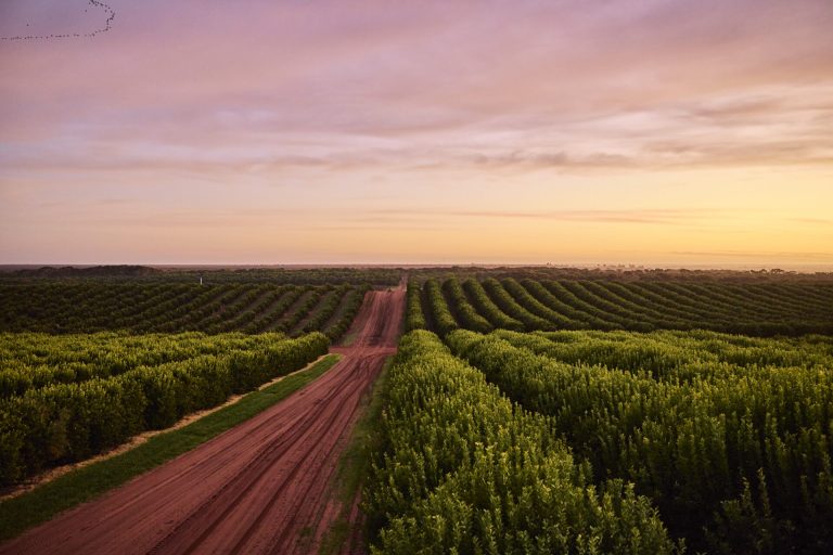 Costa Group enters new ownership phase as experienced Consortium takes ...