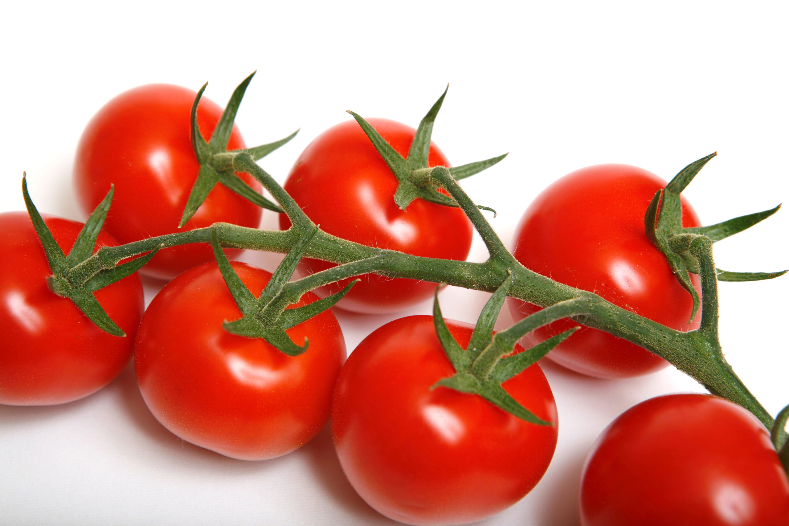 Cocktail Tomatoes - Costa Group